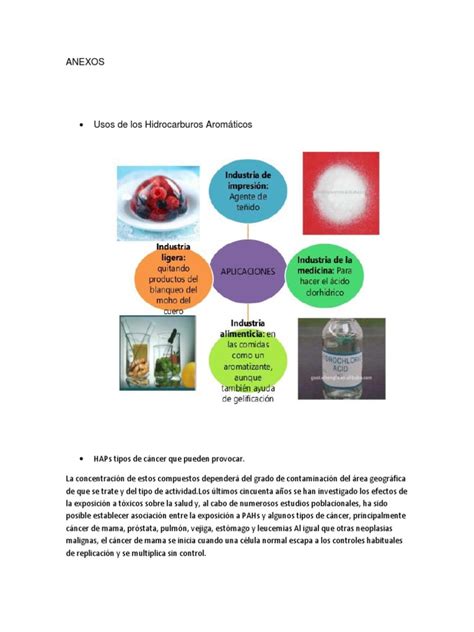 Anexos Quimica Pdf Causas De La Muerte Cáncer