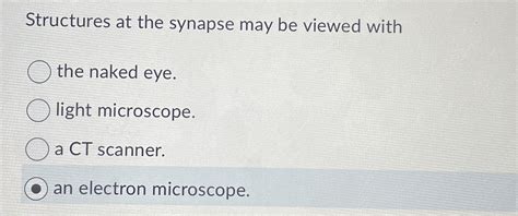 Solved Structures At The Synapse May Be Viewed Withthe Naked Chegg