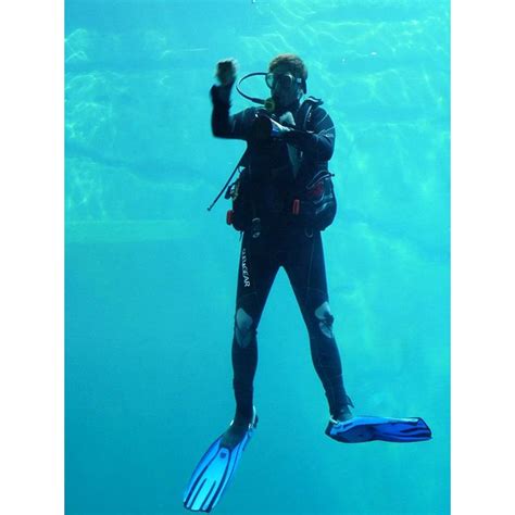 Elegir El Traje De Buceo Blog De Buceo Lvarez
