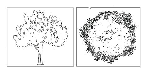 Tree Top View Cad Block Free Download AutoCAD File D OFF