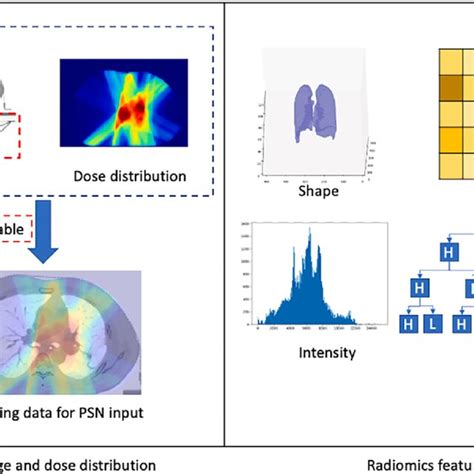 Overall Preprocess Workflow Of Feature Extraction Ct Image And Dose Download Scientific