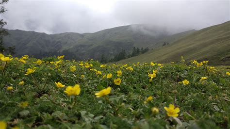 Ephemeral Dev Environments