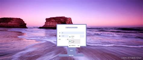基于springbootvue冷链物流管理系统设计与实现源码lw部署讲解 Csdn博客