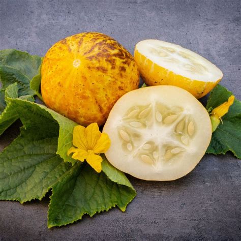 25 Best Lemon Cucumber Recipes From Salads To Cocktails