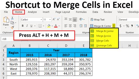 How To Insert A Column Cells In Excel MacrosInExcel