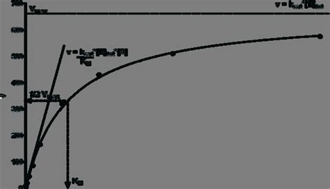 Analysis Of Steady State Kinetic Data By Fitting The Michaelis Menten Download Scientific