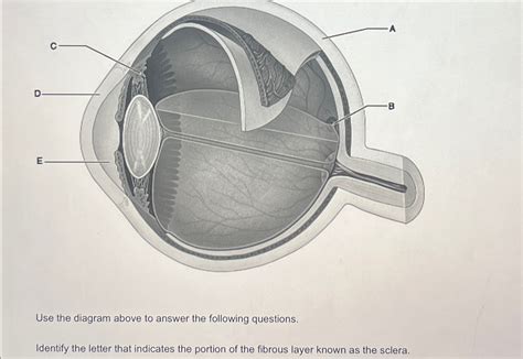 Solved Use The Diagram Above To Answer The Following