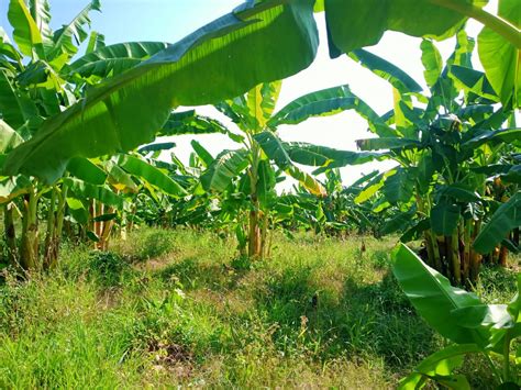 ສະຖານີວິທະຍຸ ໂທລະພາບ ສະຖານີວິທະຍຸ ໂທລະພາບ ແຂວງບໍ່ແກ້ວ