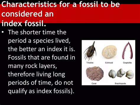Quarter 4 Week 7 Defining And Identifying Subdivisions Of Geologic Time
