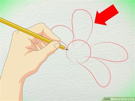 3 Ways To Draw A Lily WikiHow 3 Ways To Draw A Lily WikiHow