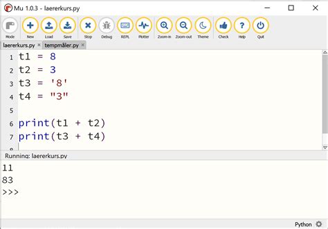Variabler I Python Koding I Skolen