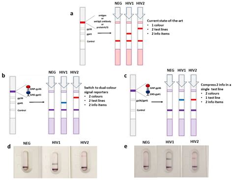 Switching From Multiplex To Multimodal Colorimetric Lateral Flow