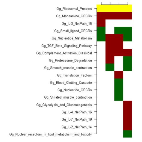 Up And Down Regulated Pathways Heatmap Of Up And Down Regulated