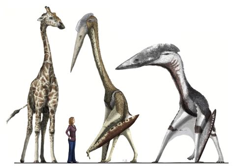 Mark P Wittons Blog New Paper When The Short Necked Giant