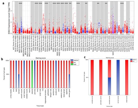How To Host A Small Web Server On Hsmm My Blog