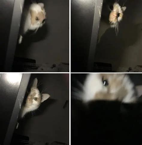 Sequence Of Events Scrolller