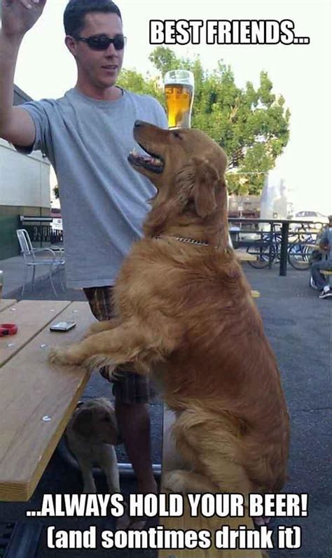 21 Best Hold My Beer Meme Meme Central