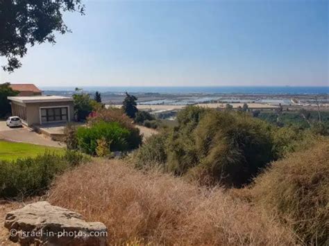 מאפיית הנדלר Maayan Tzvi מאפייה סודית בתוך חנות