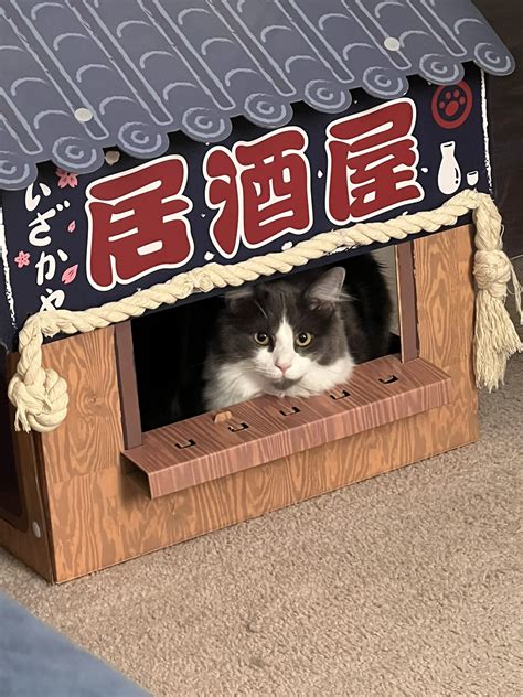 Monti Montithewolf Twitter