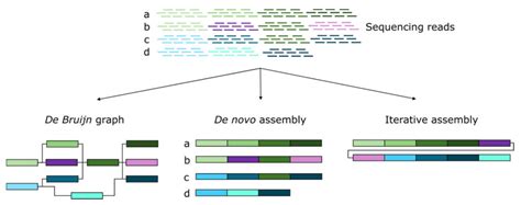 泛基因组分析研究步骤 软件推荐 百迈客生物