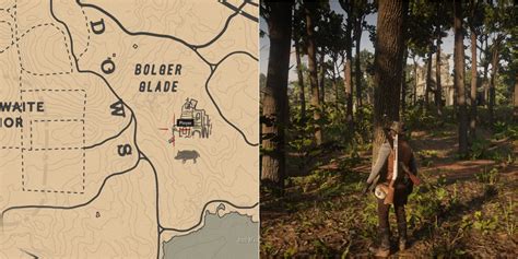 Night Scented Orchid Rdr2 Red Dead Redemption 2 All Exotics Locations