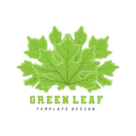 Leaf Logo Green Plant Design Leaves Of Trees Product Brand Template