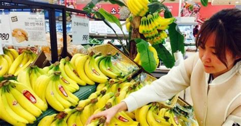 국내에서 가장 인기있는 수입과일은바나나·오렌지·포도 順
