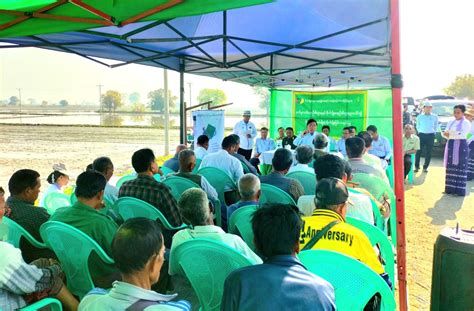 မကွေးတိုင်းဒေသကြီးဝန်ကြီးချုပ် ဦးတင့်လွင် ပွင့်ဖြူမြို့နယ် နွေစပါးစိုက်ပျိုးစွမ်းအား တိုးတက်မြင့