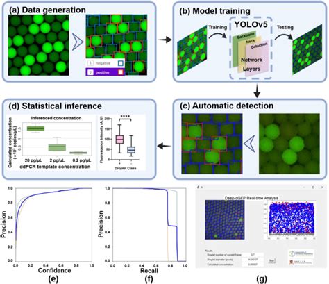 Illustration Of The Workflow And Performance Of Our Deep Download Scientific Diagram