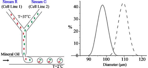 Microfluidic Encapsulation Of Cells In Agarose Microgels A Schematic