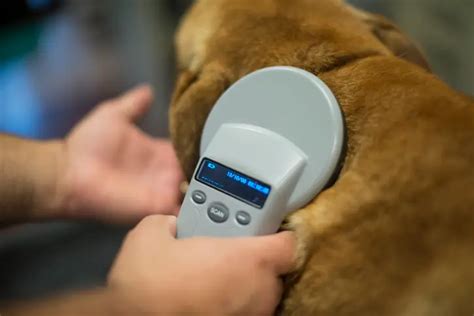Microchip Identification Guidelines Wsava