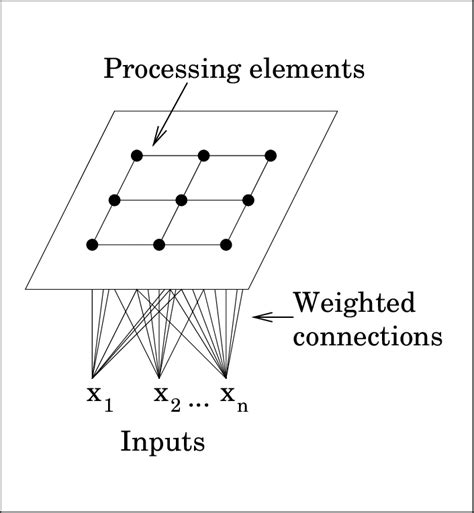 Two Dimensional Selforganizing Feature Map Every Input Element Has