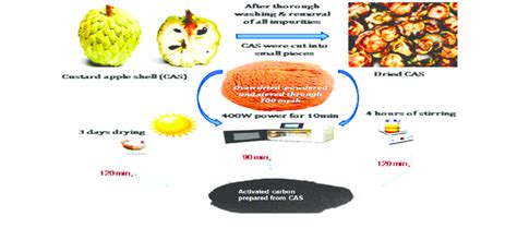Schematic Representation Of The Synthesis Of Activated Carbon Derived