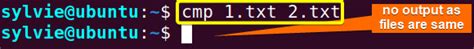 The Cmp” Command In Linux 7 Practical Examples