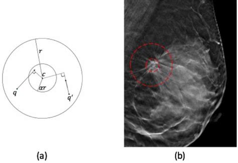 A Nested Circles Are Used To Calculate The Convergence Of The Central Download Scientific