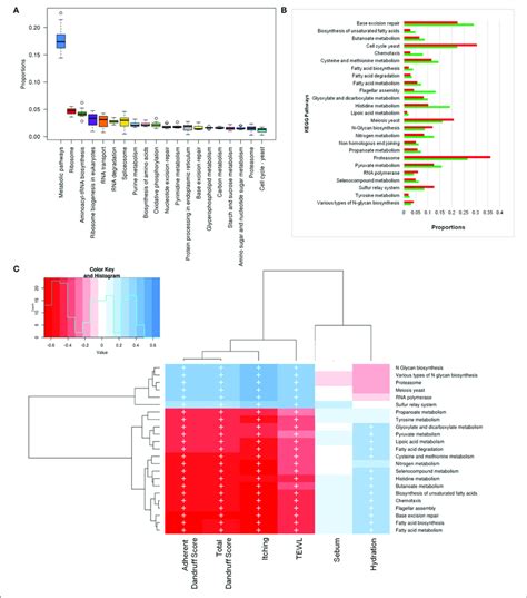 Functional Analysis Of Fungal Microbiome A Twenty Most Abundant Download Scientific