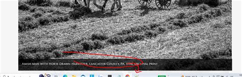 Display Images Under Lightbox Caption Images And Videos Squarespace Forum