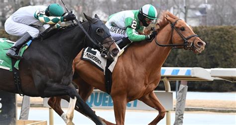 Sand Devil A Gritty Winner Of 125k Damon Runyon Aqueduct