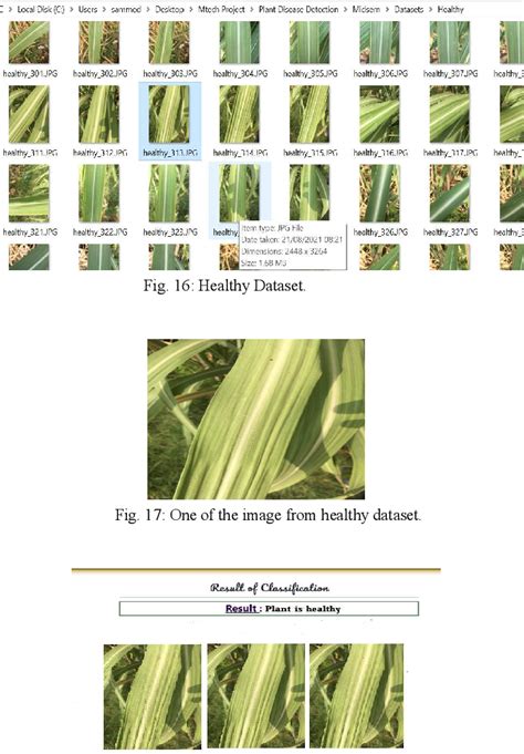 Figure 16 From Sugarcane Disease Detection Using Cnn Deep Learning