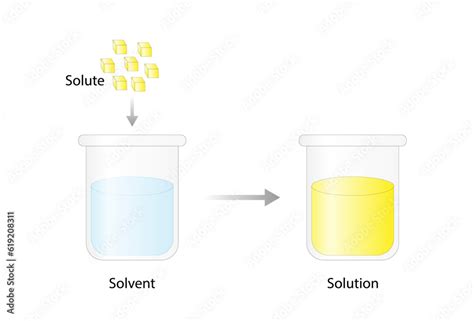 Solutions Solubility Homogeneous Mixture Solute Solvent And Solution Dissolving Solids