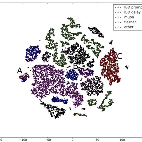 T Sne Representation Of Features Learned By Convolutional Autoencoder Download Scientific Diagram