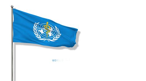 Who Flag World Health Organization Flag Waving In The Wind 3d