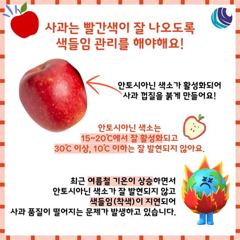 기후 변화로 새롭게 주목받는 초록 사과와 노란 사과썸머킹 골든볼 농식품정보