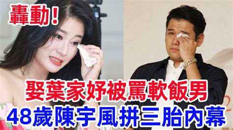娶葉家妤被罵軟飯男陳宇風真实身家太驚人48歲拼三胎內幕瞞不住 陳宇風 葉家妤 風華絕代 YouTube