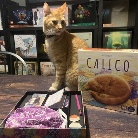 Calico Insert Calico Board Game Organizer Calico Storage Solution