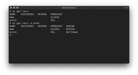 Custom Resource Definition Crd Openshift Examples