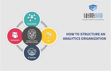Analytics Team Structures Growth Of Analytics Companies