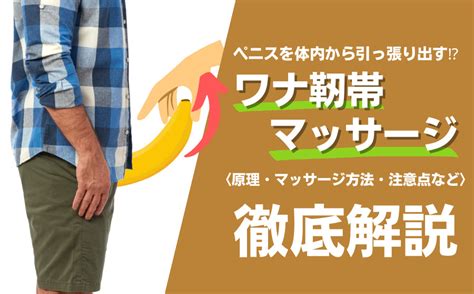 ワナ靭帯マッサージのチントレはペニス増大に効果あり ザヘルプm