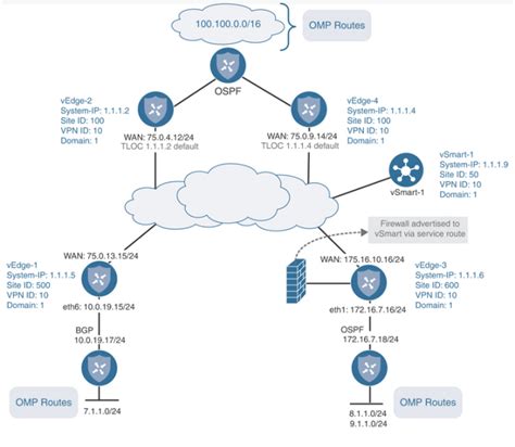 Overlay Management Protocol Omp