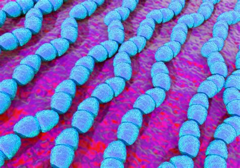 Infección Urinaria Изображения стоковые фотографии и картинки Infección Urinaria